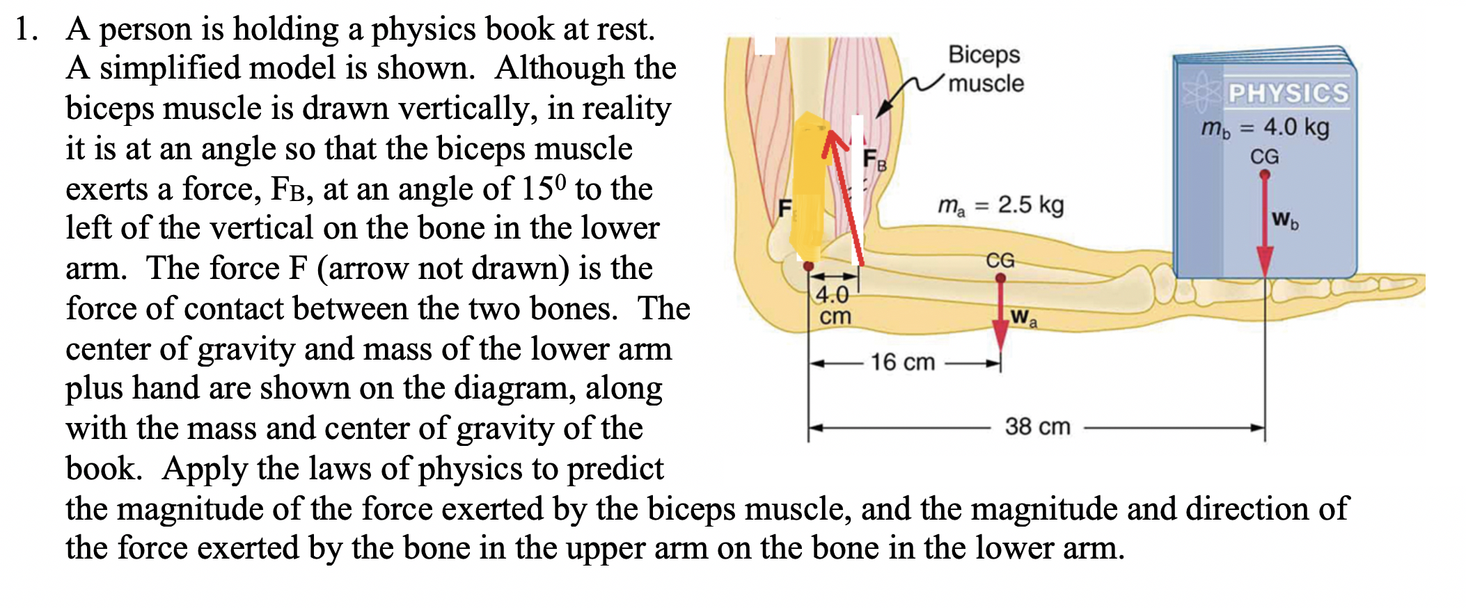 Solved 1. A person is holding a physics book at rest. A | Chegg.com