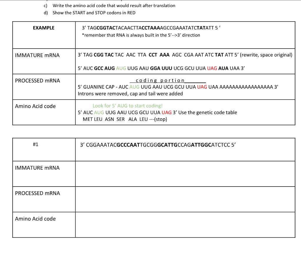 Solved c) Write the amino acid code that would result after | Chegg.com