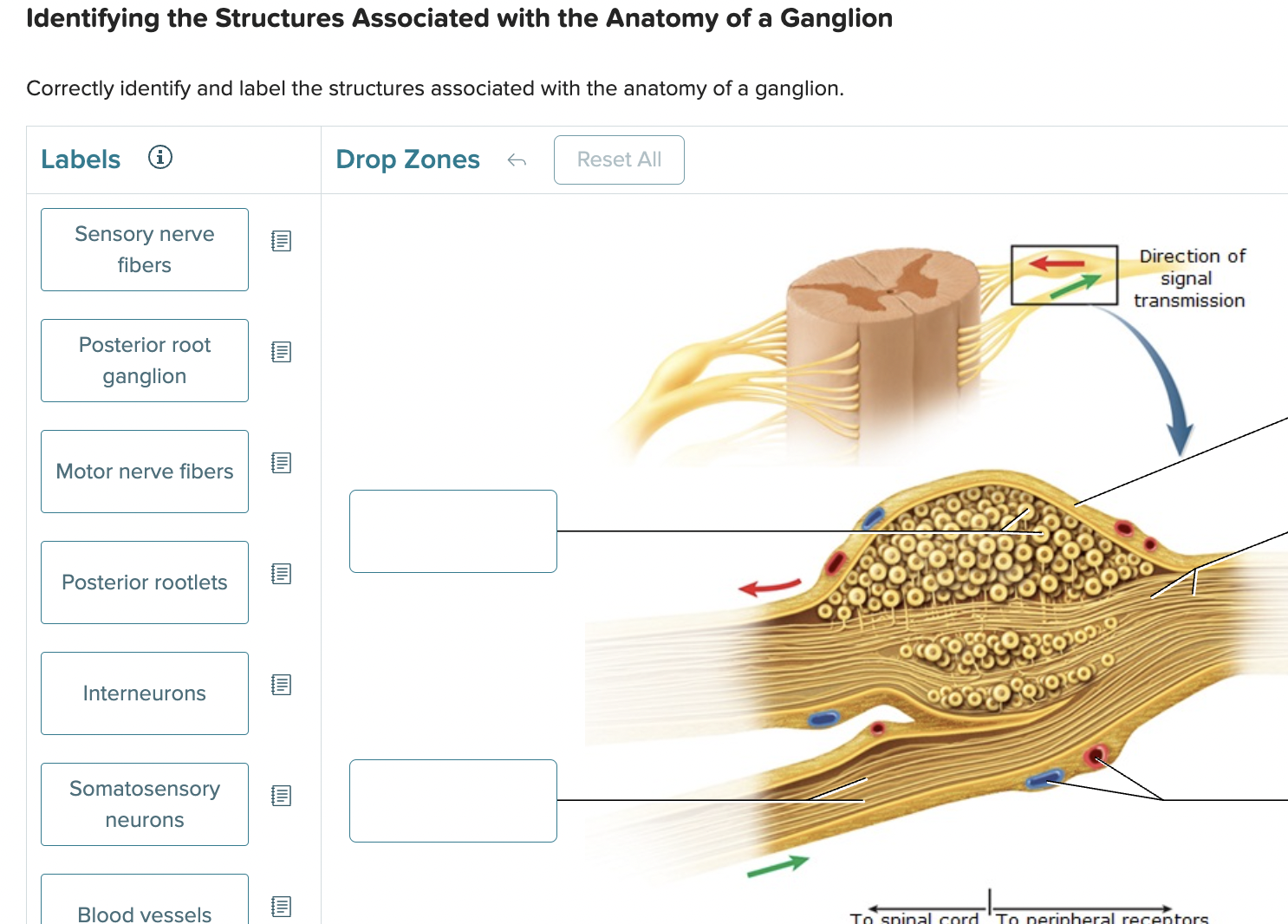 Solved Identifying the Structures Associated with the | Chegg.com