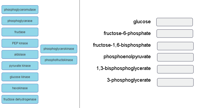 Solved phosphoglyceromutase phosphoglycerase glucose | Chegg.com