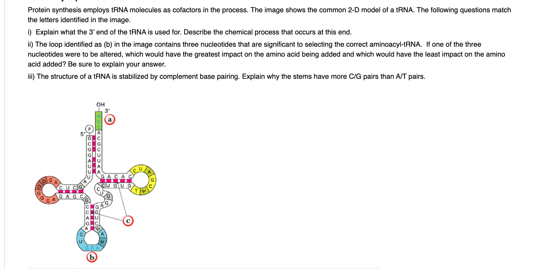 Solved Protein synthesis employs tRNA molecules as cofactors | Chegg.com