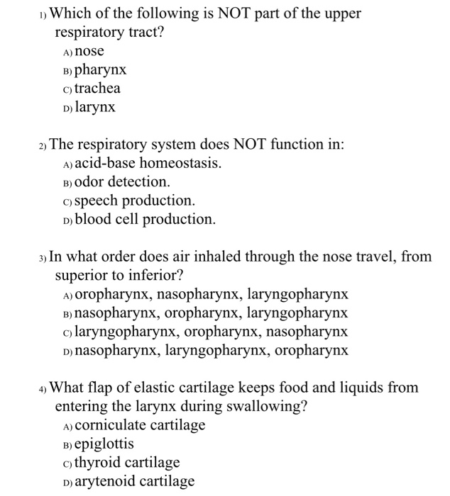 Solved ) Which of the following is NOT part of the upper | Chegg.com