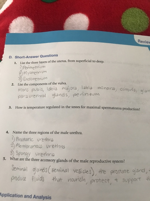 Solved Review D. Short-Answer Questions 1. List the three | Chegg.com