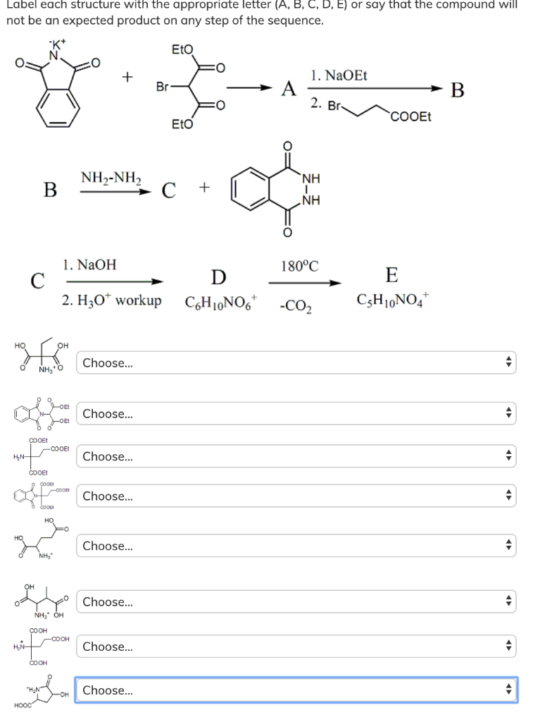 Solved Label each structure with the appropriate letter (A, | Chegg.com