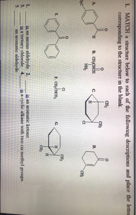 Solved 1. MATCH a structure below to each of the following | Chegg.com