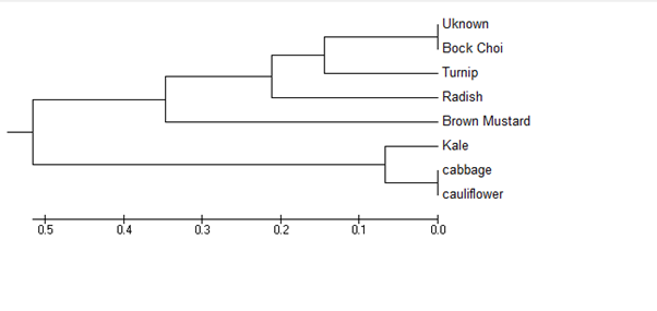 Solved 1. what does this phylogenetic tree result show? | Chegg.com