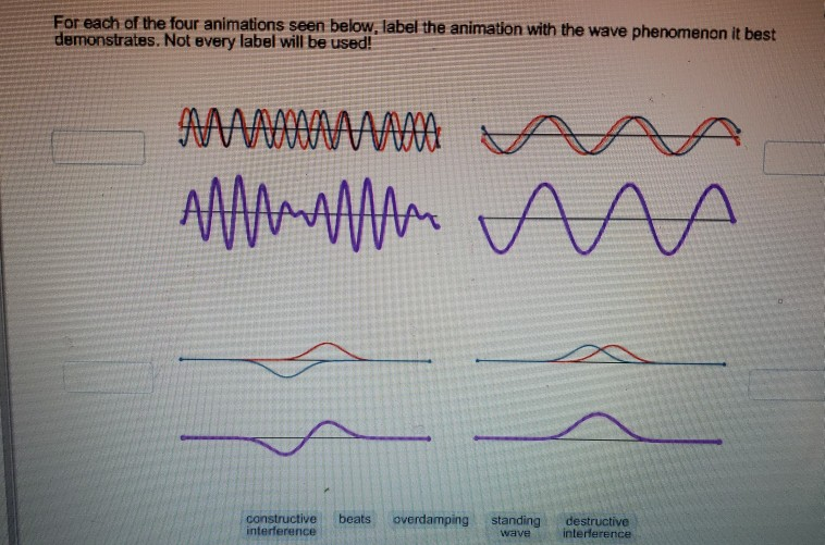 Solved For each of the four animations seen below, label the | Chegg.com