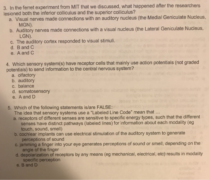 Solved 3. In the ferret experiment from MIT that we | Chegg.com