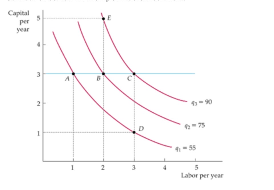 Solved The image below shows that:a. A capital level of 5 | Chegg.com