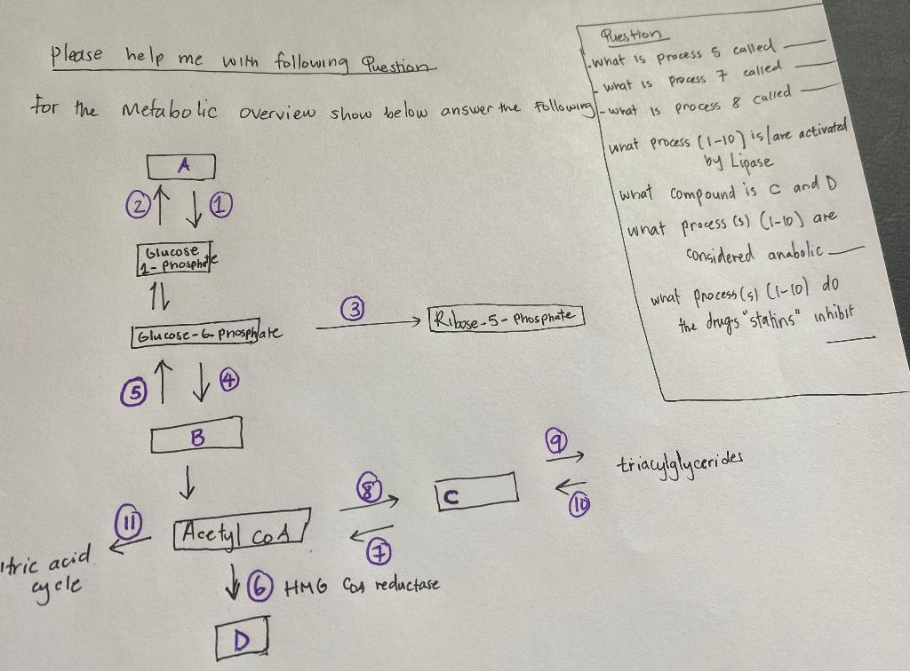 Solved Question - What is process s called what is process 7 | Chegg.com