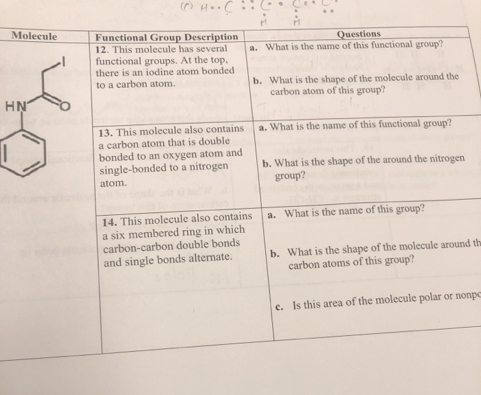 Solved Ho.C Molecule Functional Group Description 12. This | Chegg.com