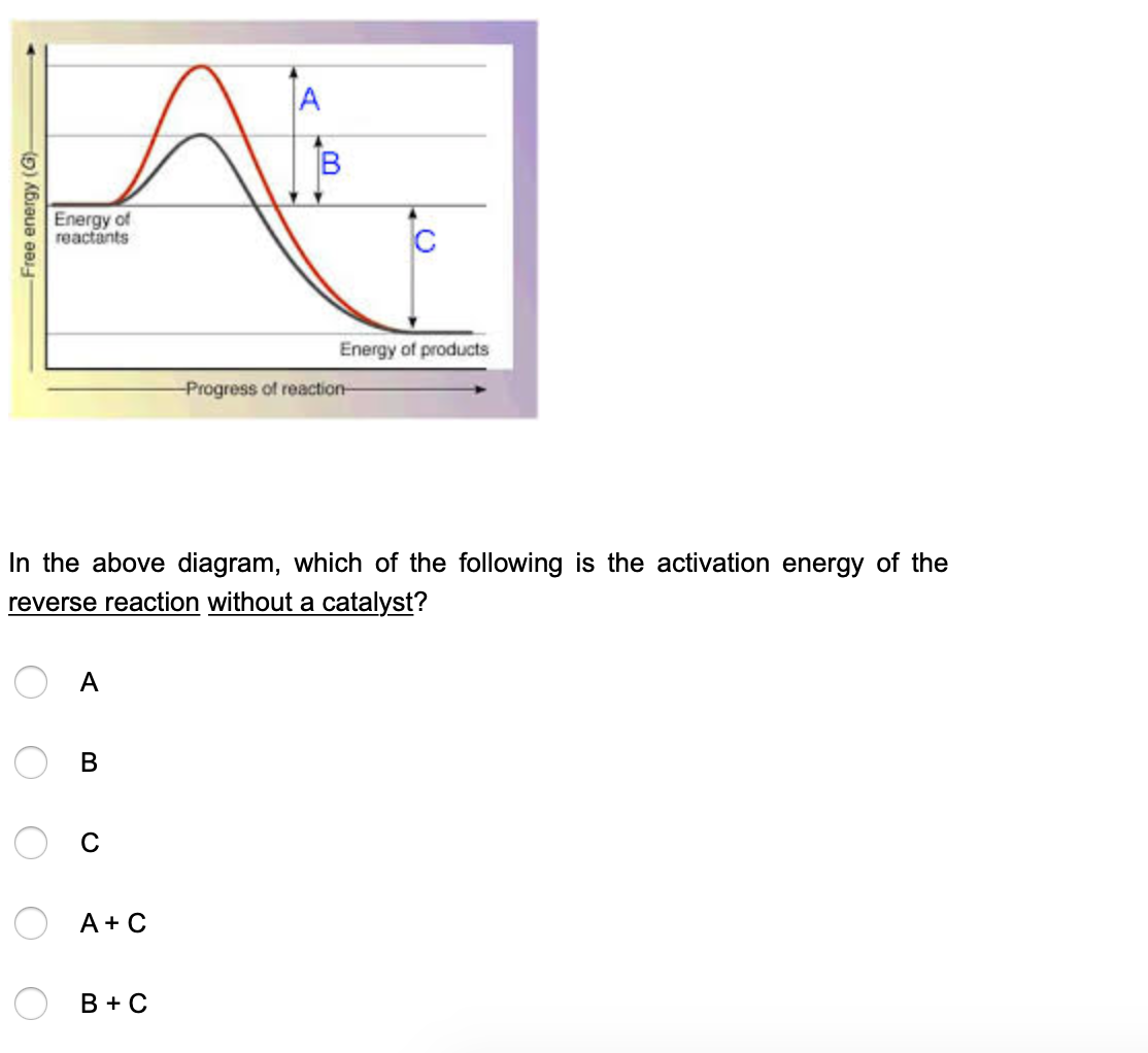 Solved In the above diagram, which of the following is the | Chegg.com