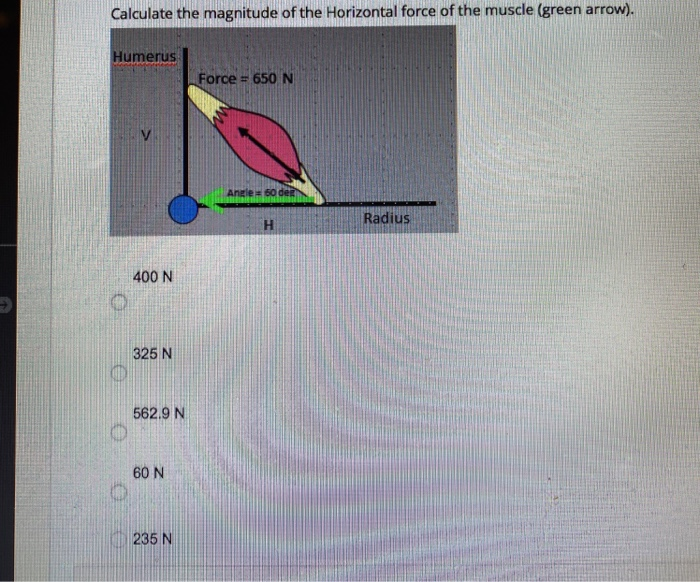 Solved Calculate the magnitude of the Horizontal force of | Chegg.com