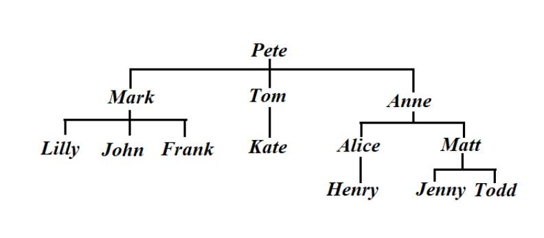 Solved Write your programs using logical language Prolog. | Chegg.com