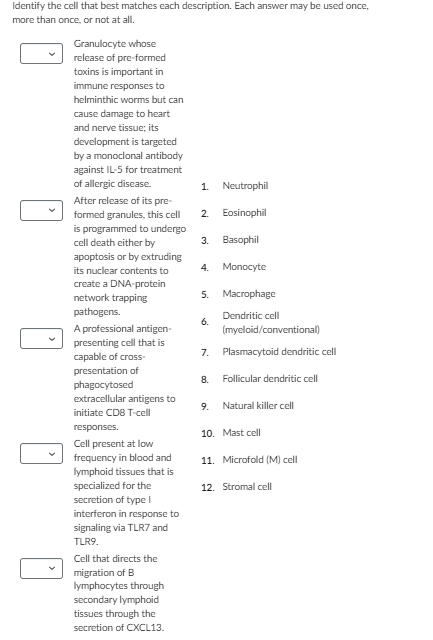 Solved Identify the cell that best matches each description. | Chegg.com