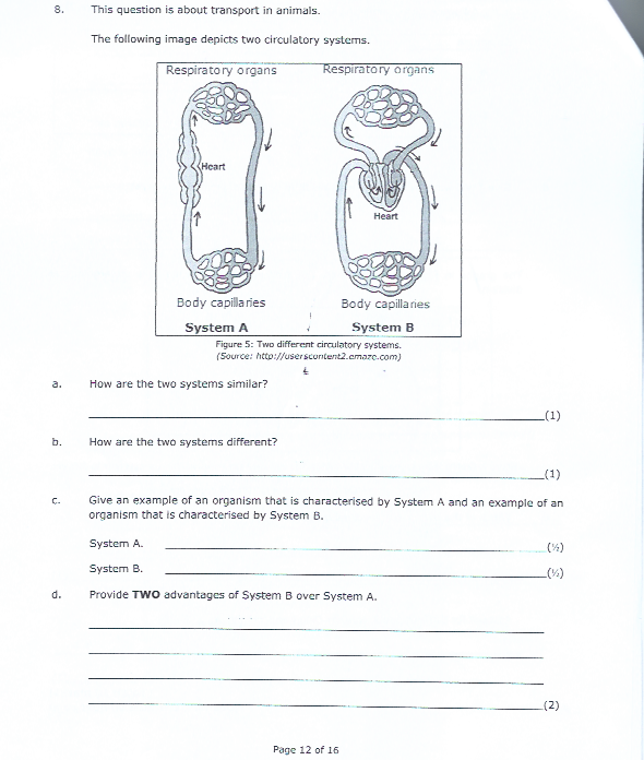 Solved 8. This question is about transport in animals. The | Chegg.com