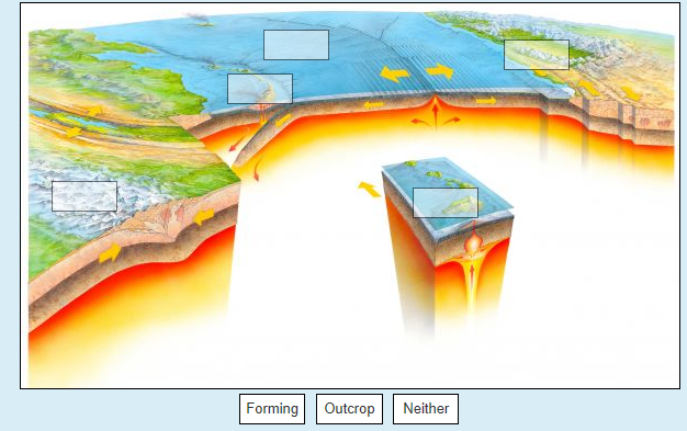 Solved Biogenic cherts Q1 (a) What tectonic setting are | Chegg.com