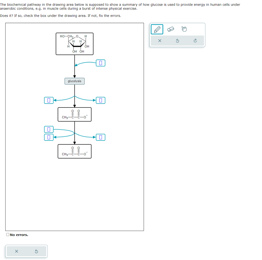 Solved he biochemical pathway in the drawing area below is | Chegg.com