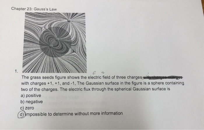 Solved Chapter 23: Gauss's Law 气" The grass seeds figure | Chegg.com