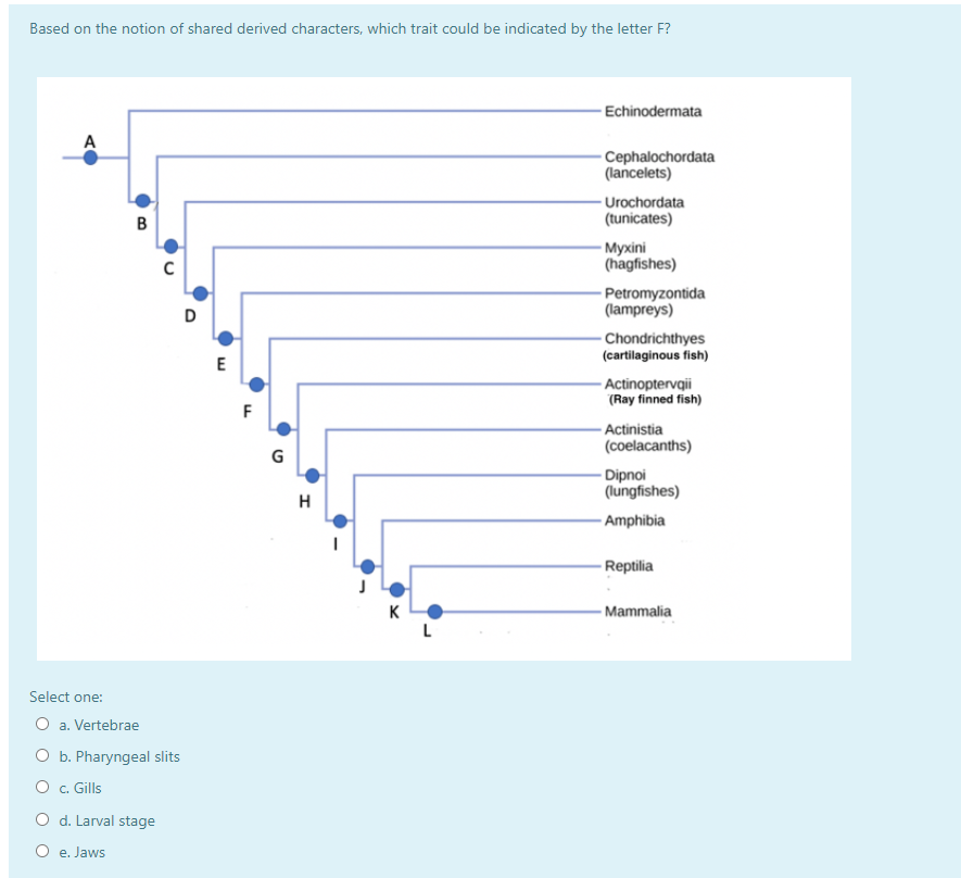Solved Based on the notion of shared derived characters, | Chegg.com