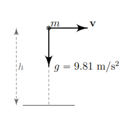 Solved - ﻿Question 1: Projectile motion in a constant | Chegg.com