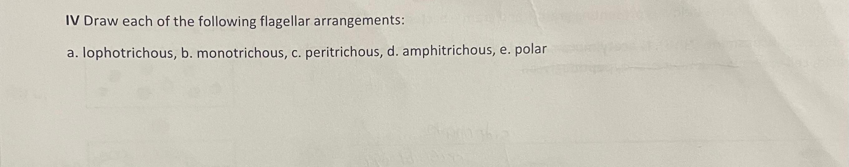 IV Draw each of the following flagellar arrangements: | Chegg.com