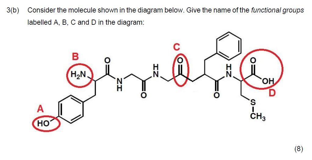 Solved 3(b) Consider the molecule shown in the diagram | Chegg.com