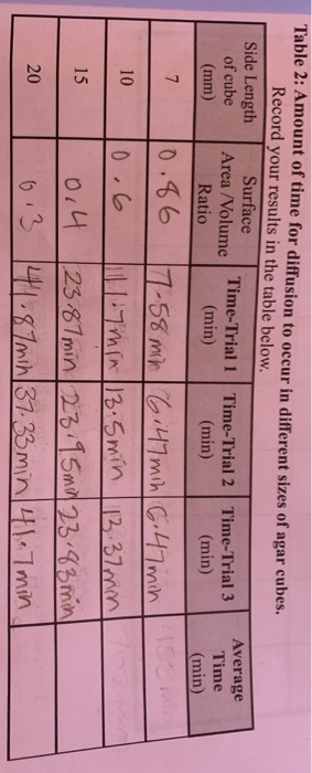 DIFFUSION IN AGAR CUBES LAB ANSWERS