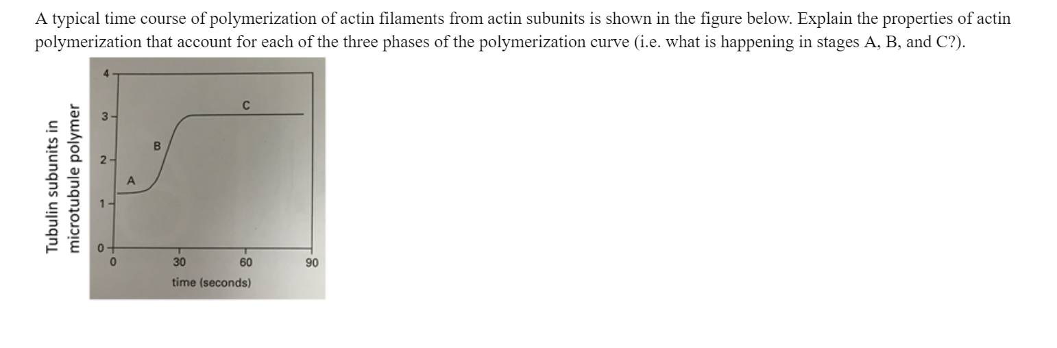 Solved A Typical Time Course Of Polymerization Of Actin