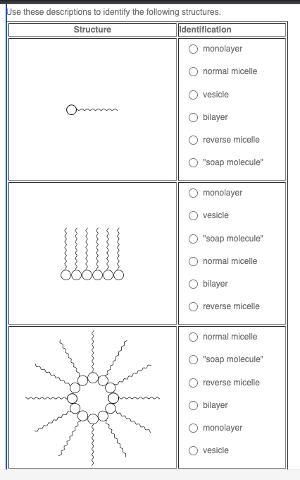 Solved Use these descriptions to identify the following | Chegg.com