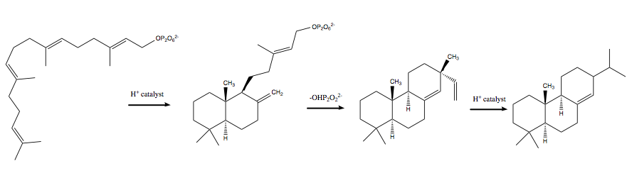 Solved ) - OP * CH است اما به ما = CHE H CH H* catalyst CHE | Chegg.com