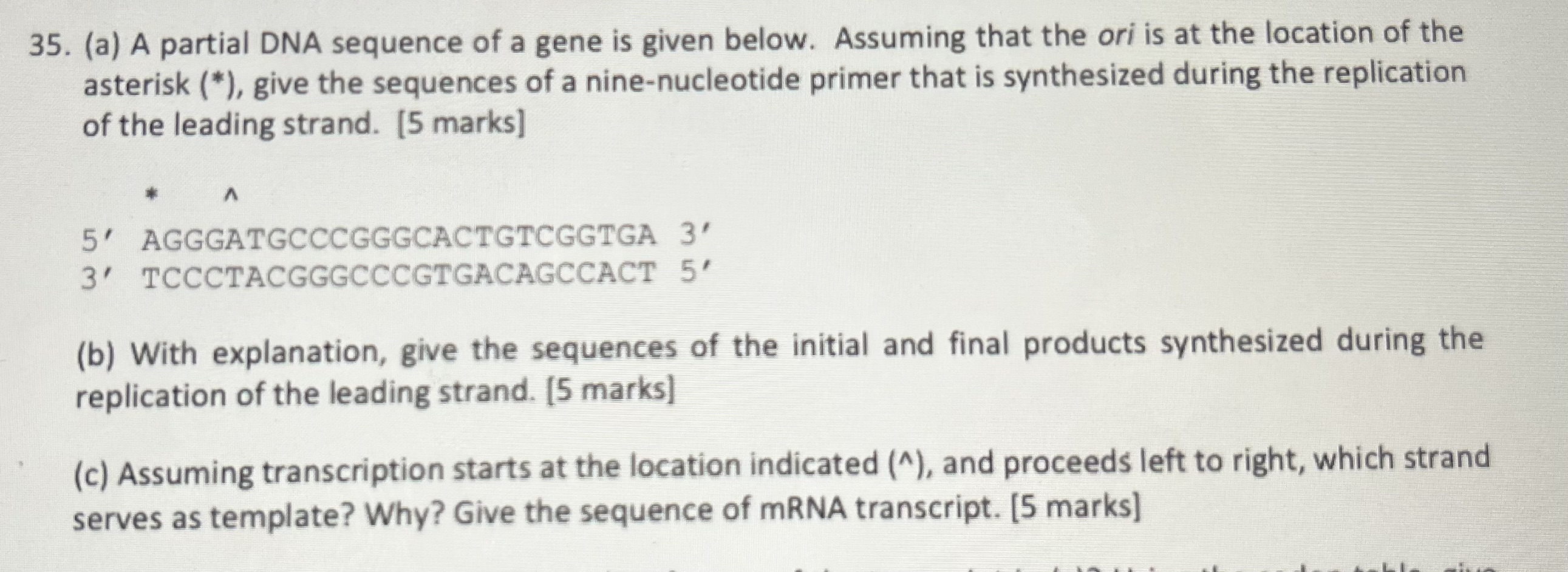 Solved (a) ﻿A partial DNA sequence of a gene is given below. | Chegg.com