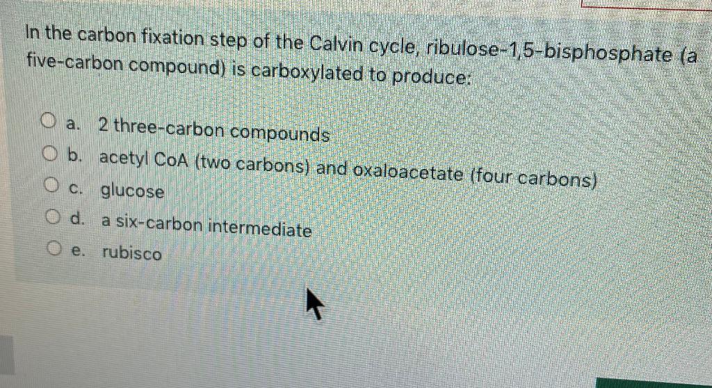 Solved In the carbon fixation step of the Calvin cycle, | Chegg.com