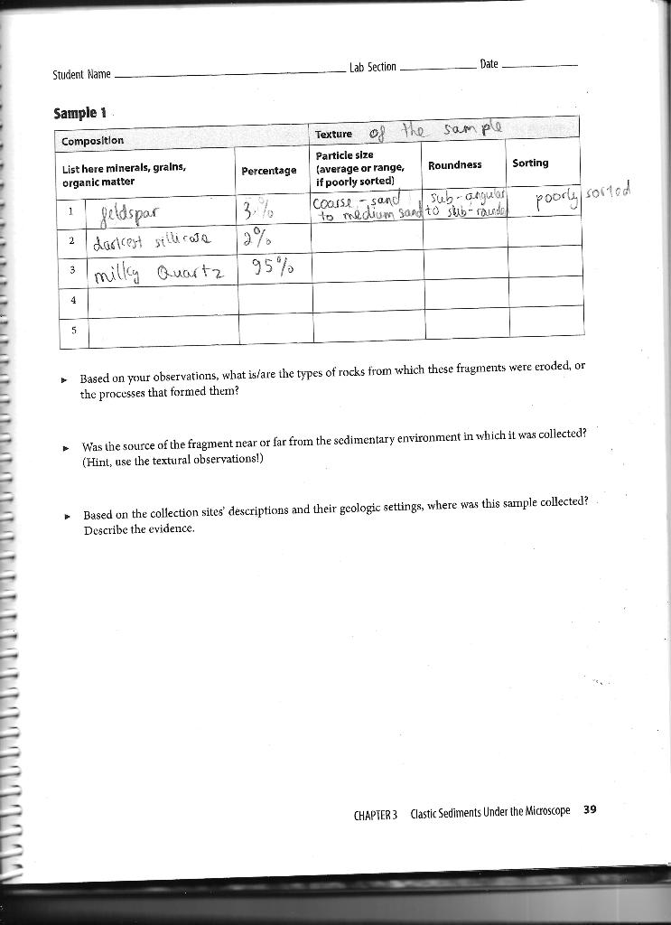 Solved SAMPLE 7 SAMPLE 8 Student Name Lab Section Date | Chegg.com