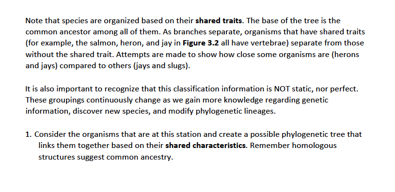 Solved Phylogenetic Trees To hypothesize evolutionary | Chegg.com
