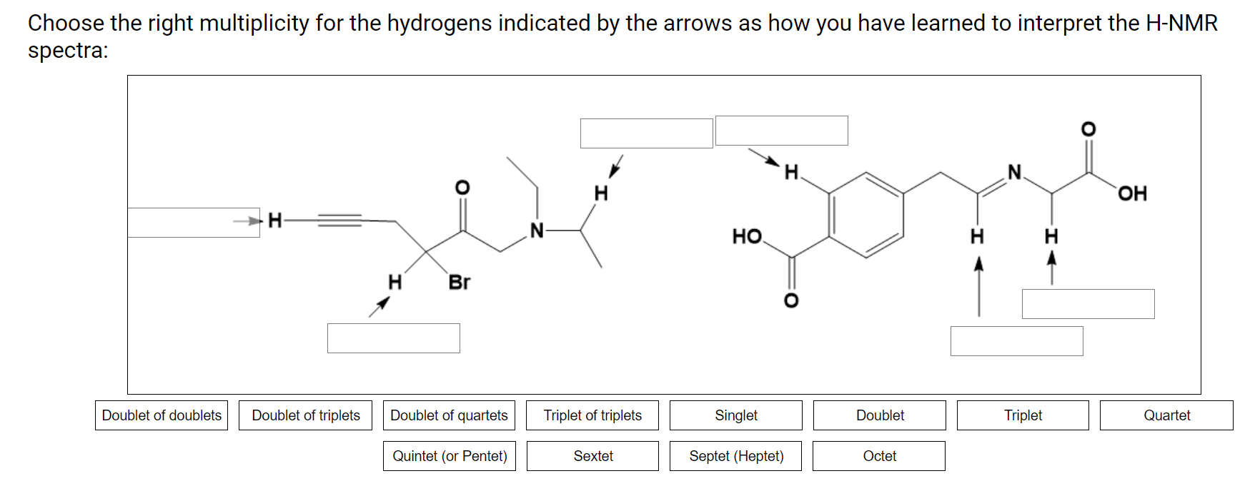 Solved Choose the right multiplicity for the hydrogens | Chegg.com