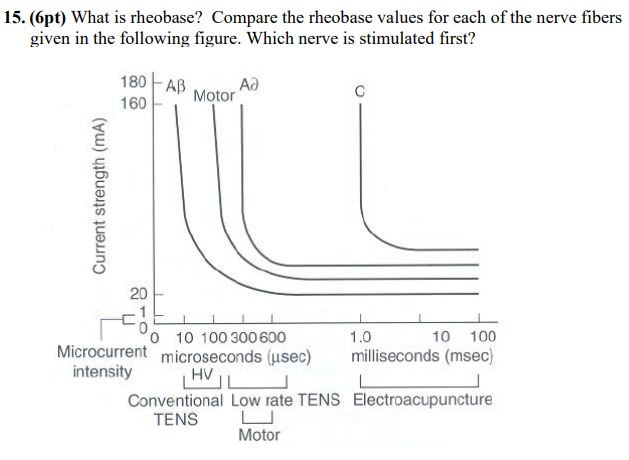 Solved 15. (opt) What is rheobase? Compare the rheobase | Chegg.com