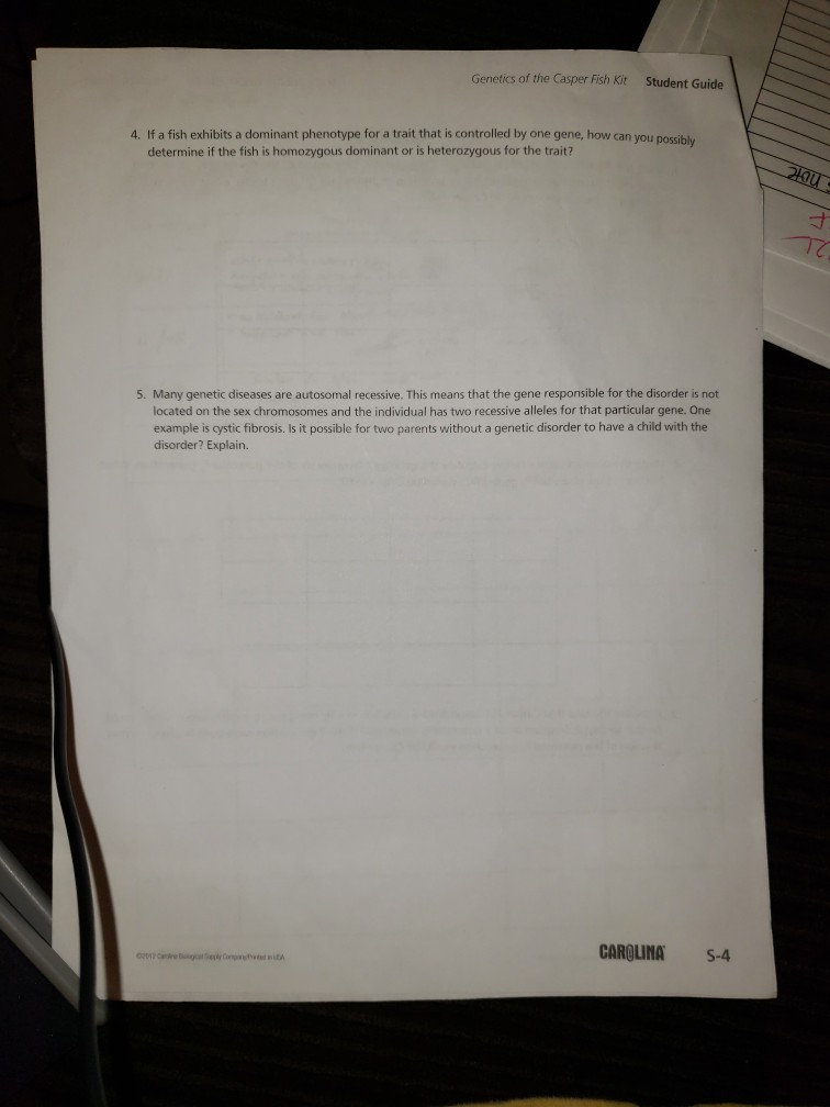 Solved Genetics of the Casper Fish Kit Student Guide 4. If a | Chegg.com