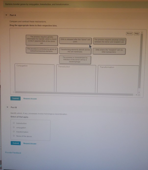 Solved Bacteria trarster gones by conjugation, transduction, | Chegg.com