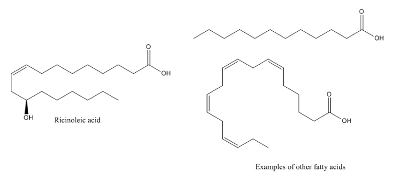 Solved Compare the structures of ricinoleic acid (the main | Chegg.com