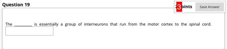 Solved Question5 Match the following: A. Segmental level B. | Chegg.com