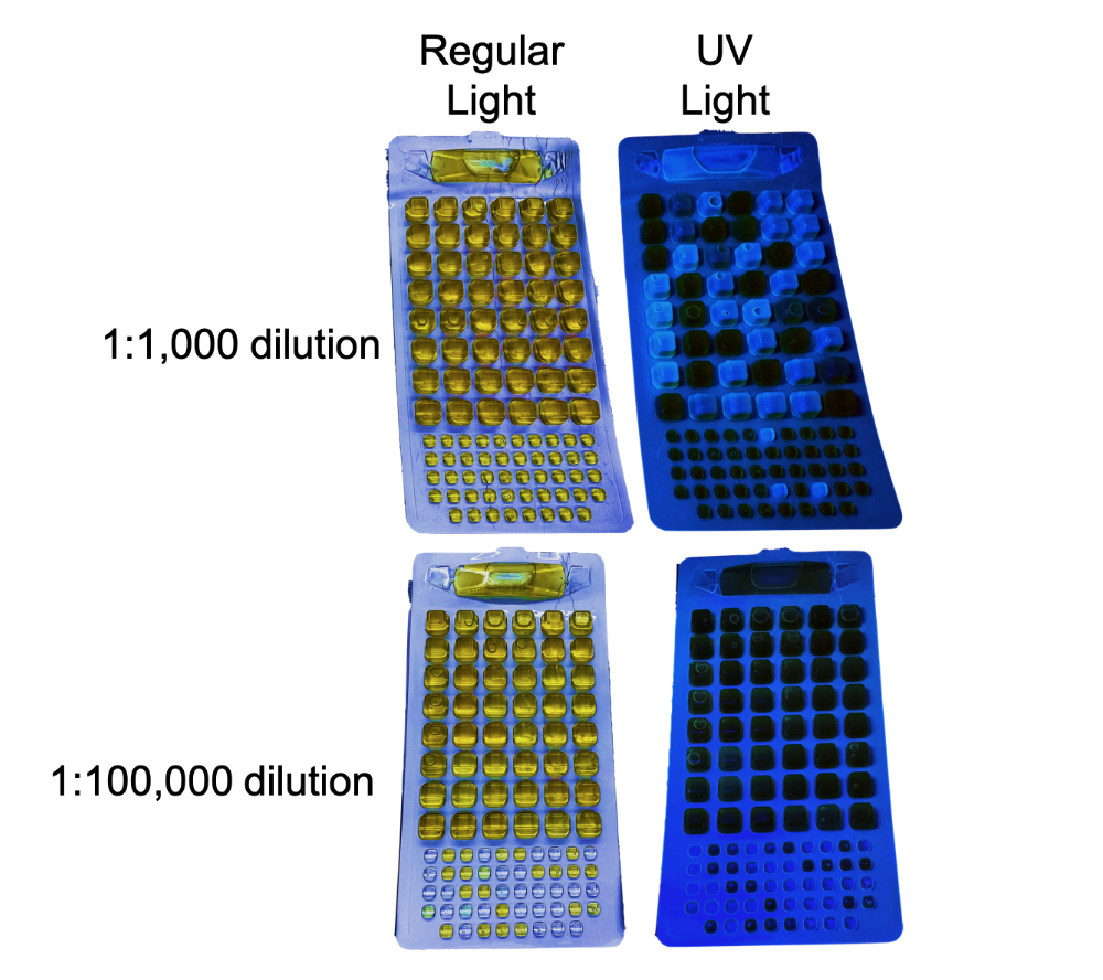 A 100 mL water sample is collected from the San Diego | Chegg.com