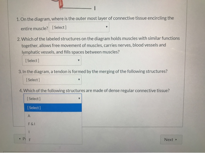 Solved Multiple Dropdowns. Review image and answer the | Chegg.com