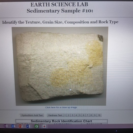 Solved EARTH SCIENCE LAB Sedimentary Sample #7: Identify the | Chegg.com