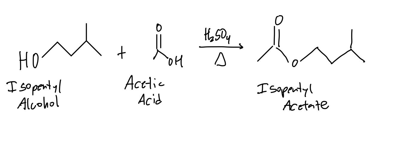 Solved H2SO4 Isopentyl Alcohol Acetic Acid Isopertyl | Chegg.com