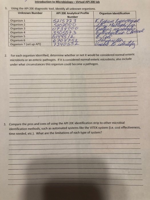 Solved Microbiology-Virtual API 20E lab 1. Using the API 20E | Chegg.com