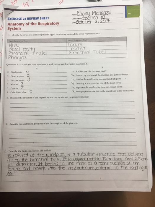 Solved Eliany Mendoea EXERCISE 24 REVIEW SHEET Lab Sectiorn | Chegg.com Solved Eliany Mendoea EXERCISE 24 REVIEW SHEET Lab Sectiorn | Chegg.com