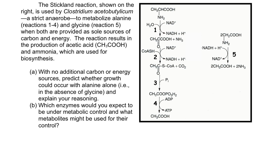 Solved The Stickland reaction, shown on the right, is used | Chegg.com