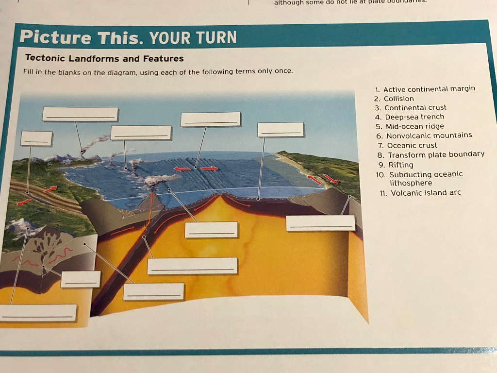 Solved although some do not lie at plate Doundal es Picture | Chegg.com