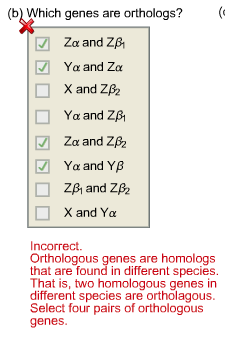 Solved An evolutionary tree is shown below. Similar genes | Chegg.com